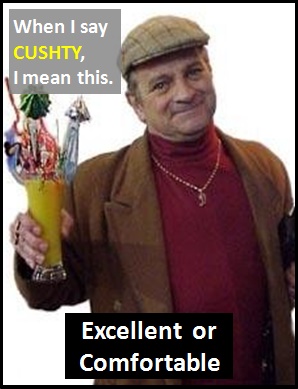 CUSHTY | What Does CUSHTY Mean?